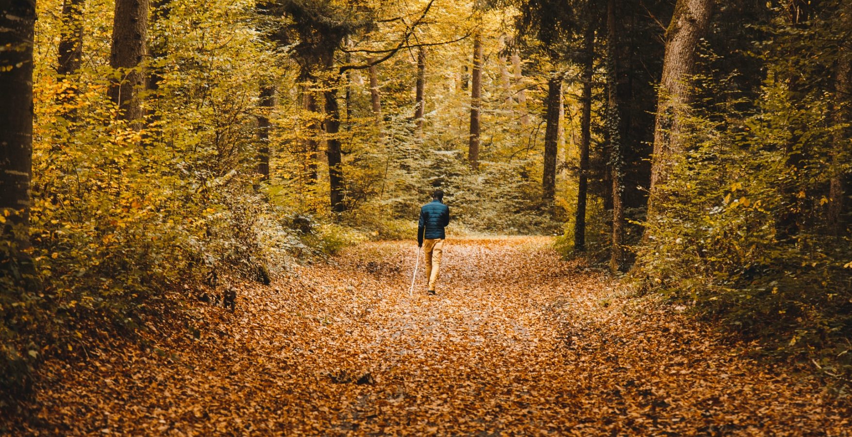 Switzerland in Fall: A Travel Guide (2023) - Studying in Switzerland